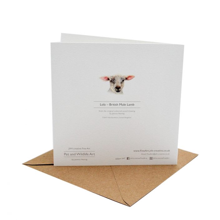 Lamb Greeting Card | JVH creative Fine Art | Coloured Pencil Art