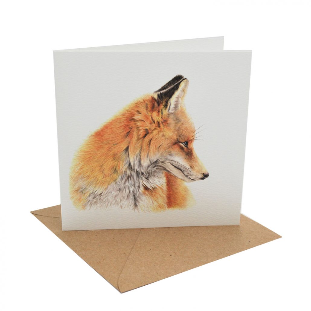 Red Fox Greeting Card | JVH creative Fine Art | Coloured Pencil Art