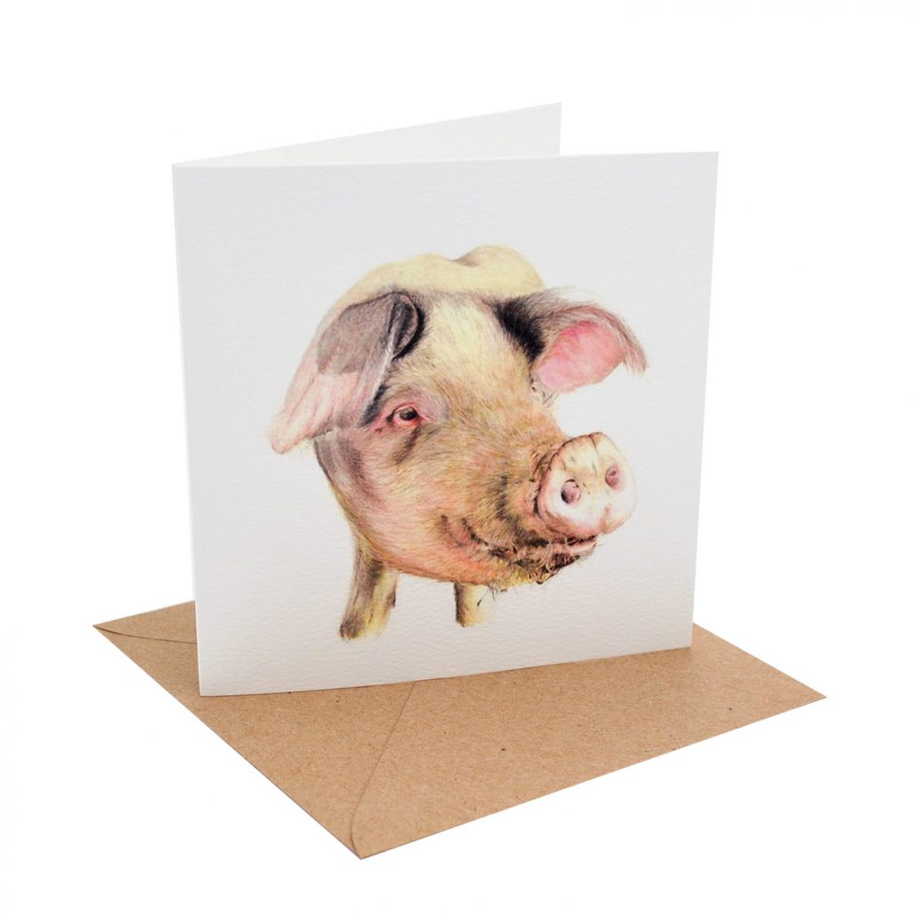 Pig Greeting Card | JVH creative Fine Art | Coloured Pencil Art
