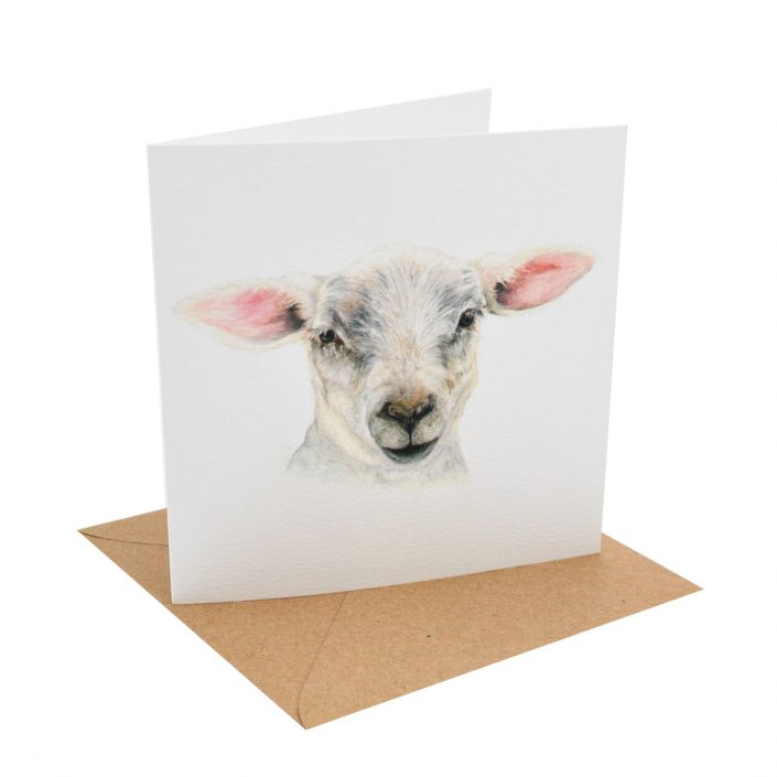 Lamb Greeting Card | JVH creative Fine Art | Coloured Pencil Art