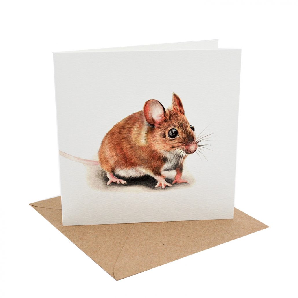 Field Mouse Greeting Card | JVH creative Fine Art | Coloured Pencil Art