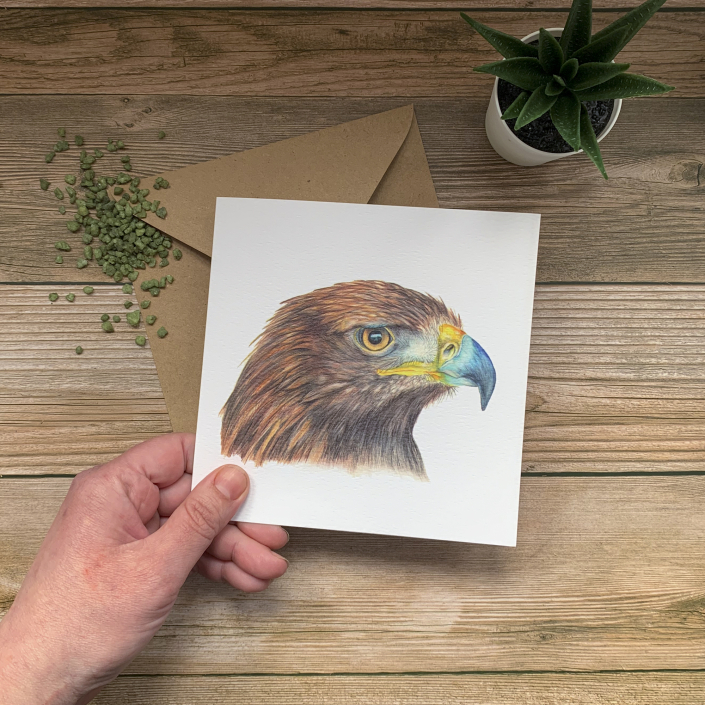 Golden Eagle Greeting Card | JVH creative Fine Art | Coloured Pencil Art