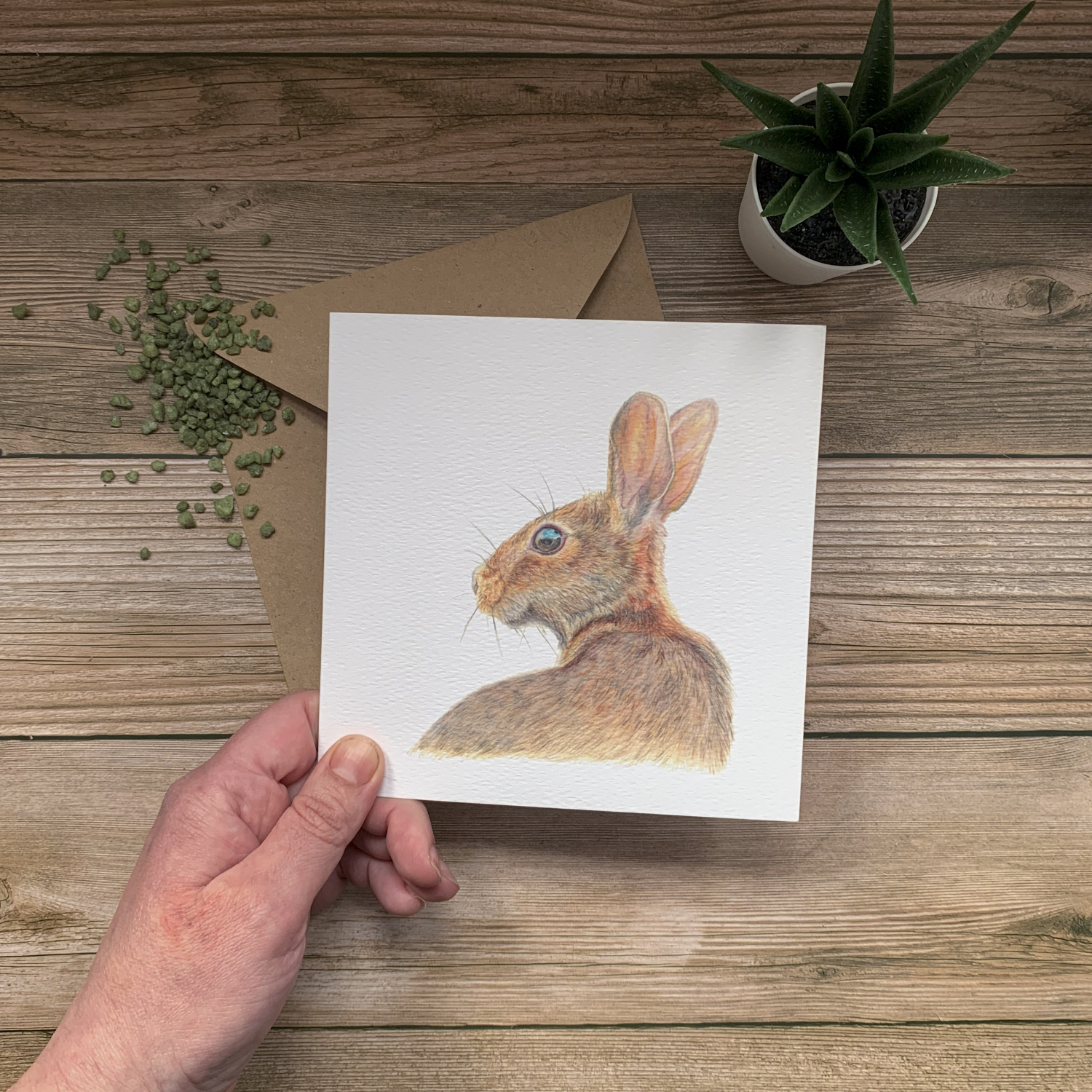 Hare Greeting Card | Wildlife Animal Collection | Coloured Pencil Art