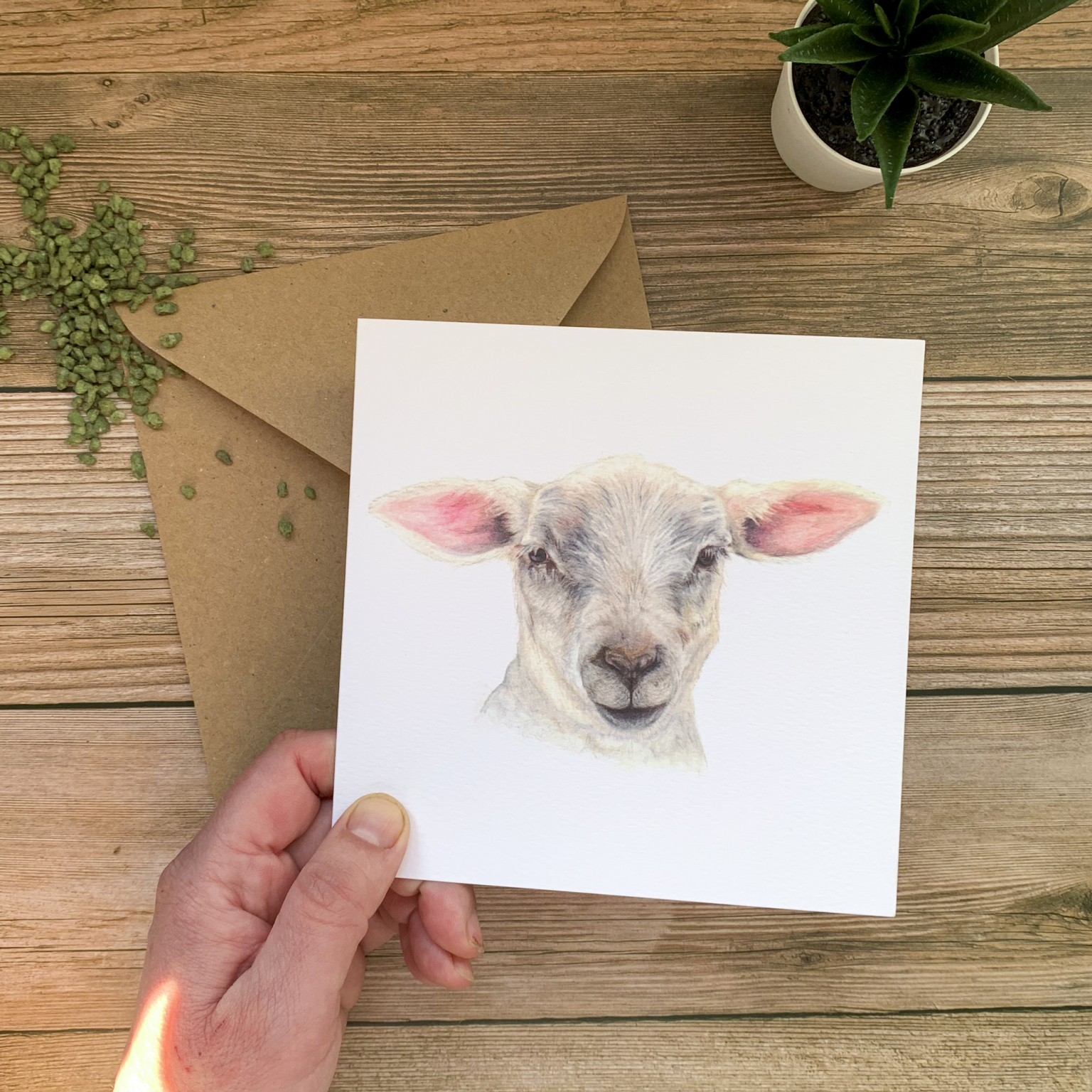 Lamb Greeting Card | JVH creative Fine Art | Coloured Pencil Art
